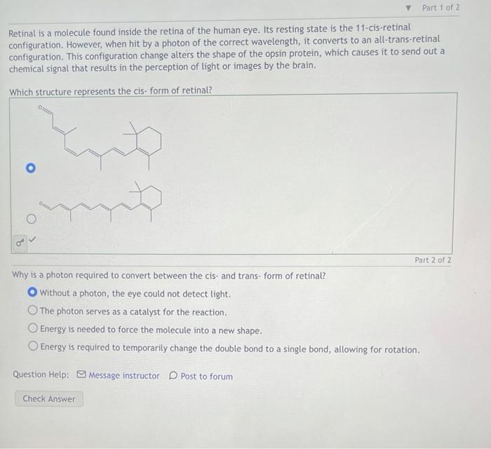 Solved Retinal is a molecule found inside the retina of the | Chegg.com