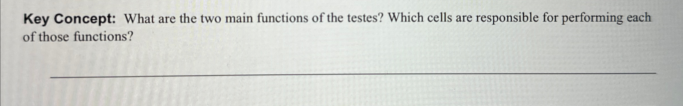 Solved Key Concept: What are the two main functions of the | Chegg.com