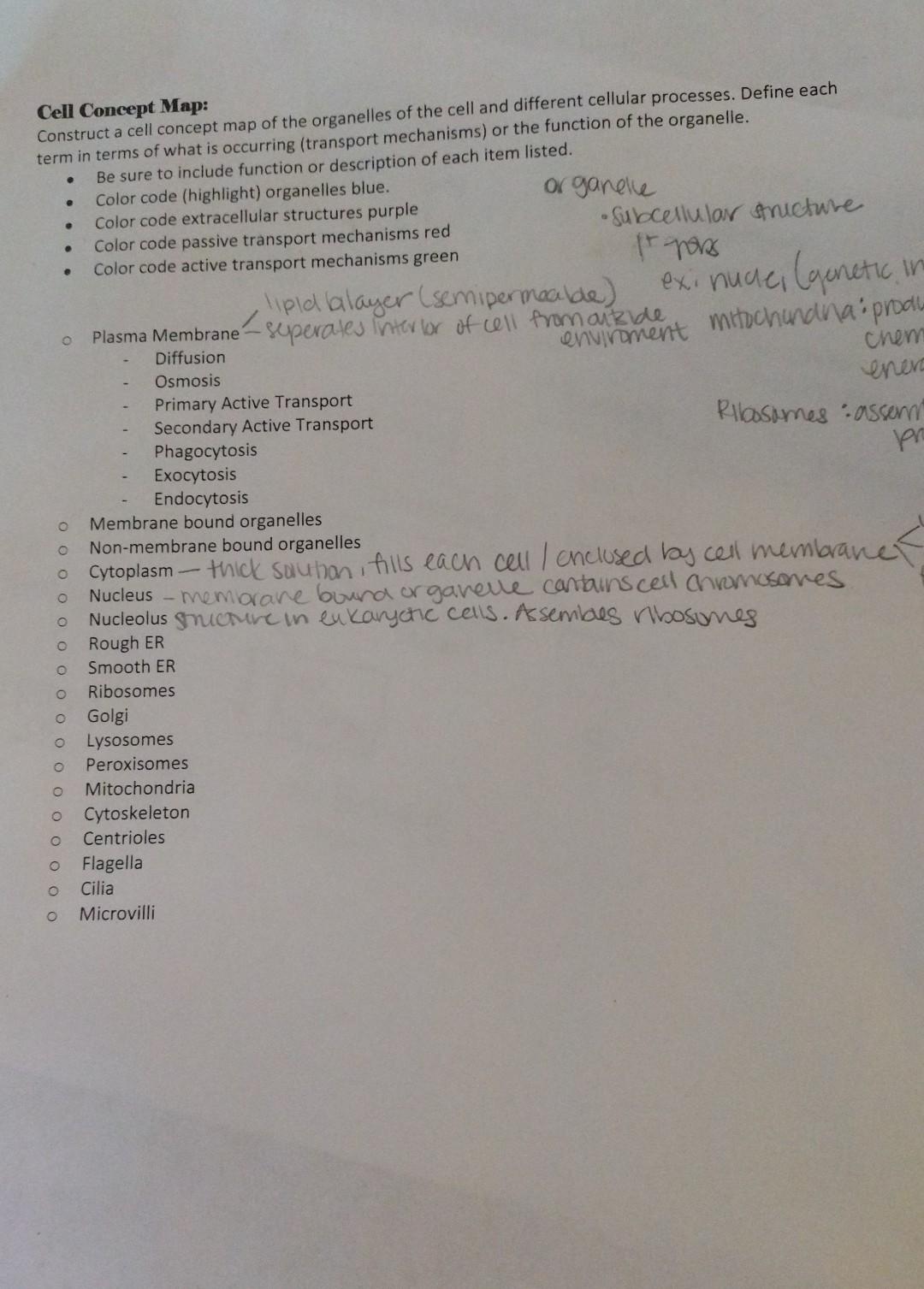 Construct a cell concept map of the organelles of the | Chegg.com