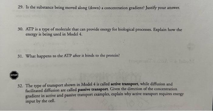 Solved Model 4-Active Transport sported Membrane Structure | Chegg.com