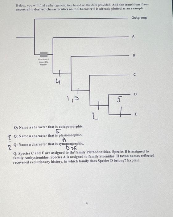 Solved I need help figuring out how the transitions | Chegg.com