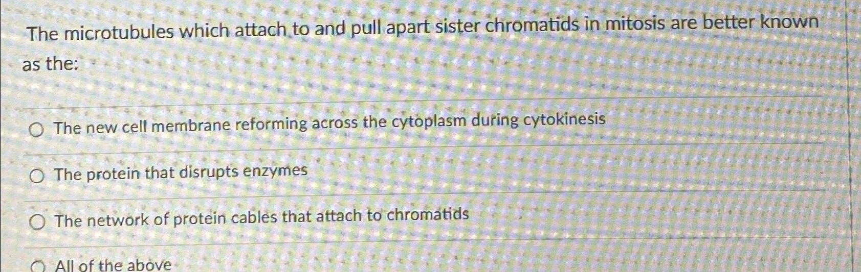 Solved The microtubules which attach to and pull apart | Chegg.com