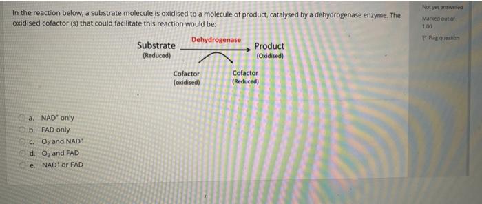 Solved The net ATP yield from the complete metabolism of 1 | Chegg.com