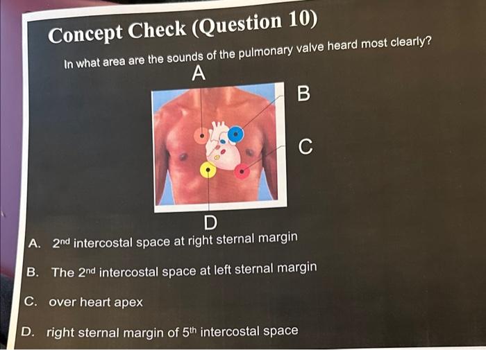 Solved In what area are the sounds of the pulmonary valve | Chegg.com
