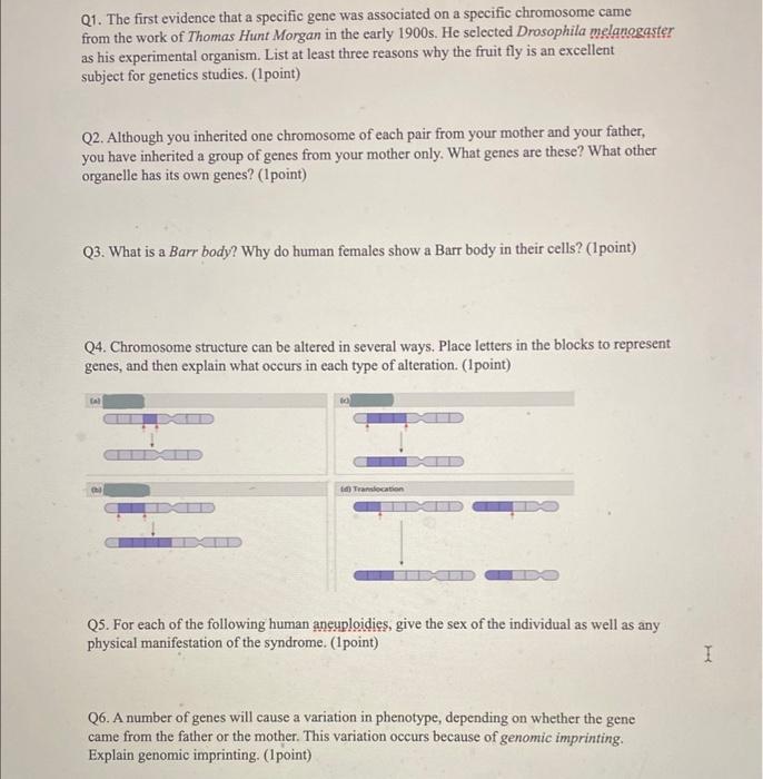 Solved Q1. The first evidence that a specific gene was | Chegg.com