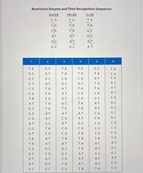 Solved Restriction Enzyme and Their Recognition | Chegg.com