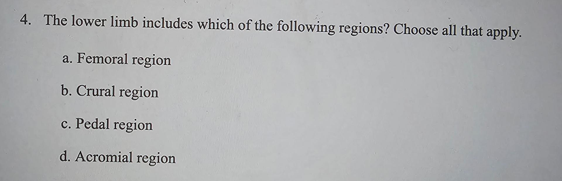 Solved The lower limb includes which of the following | Chegg.com