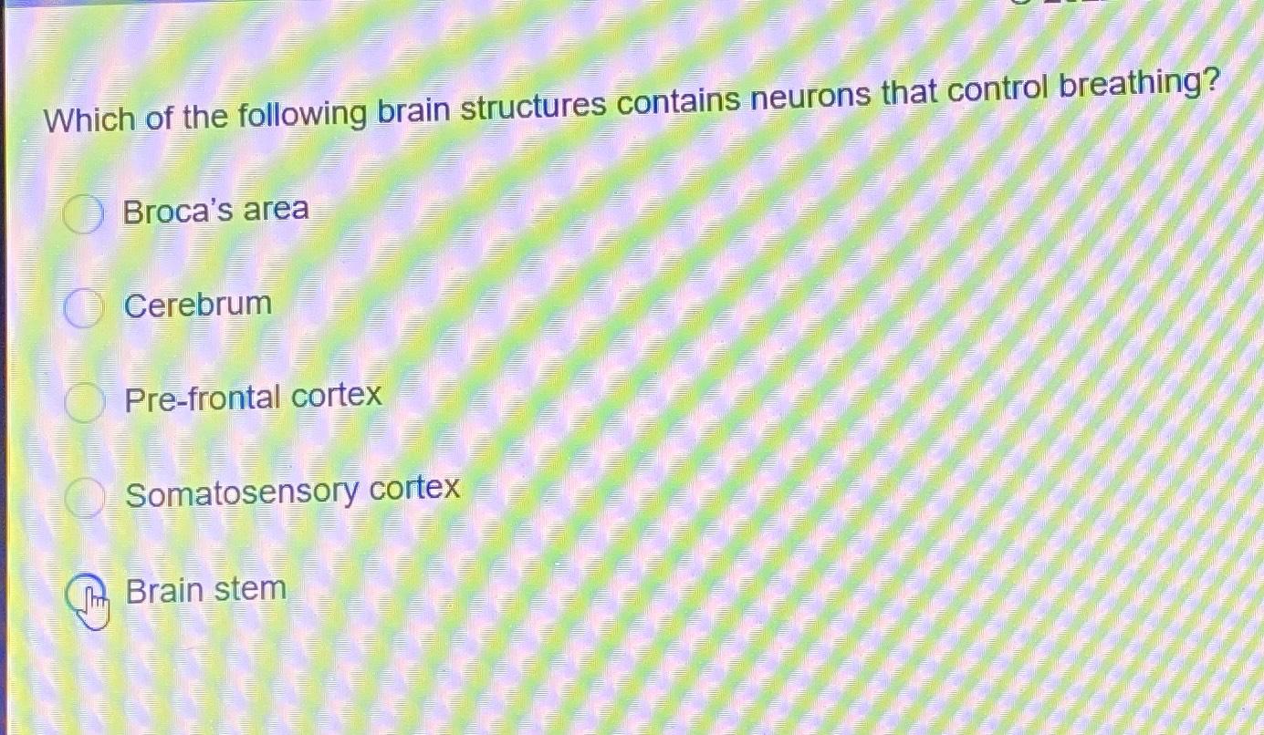 Solved Which of the following brain structures contains | Chegg.com