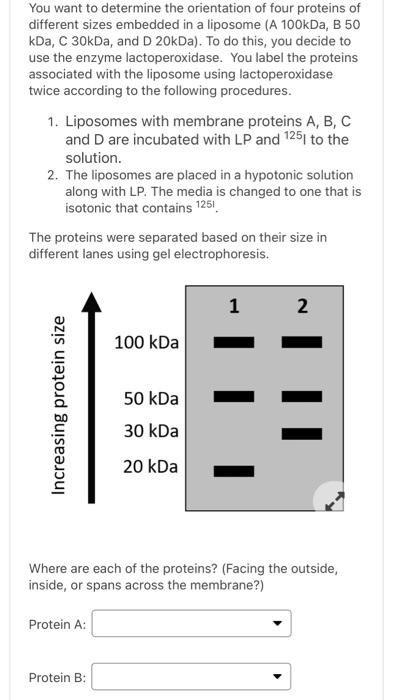 Solved You want to determine the orientation of four | Chegg.com