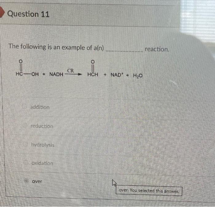 Solved The following is an example of a(n) addition | Chegg.com