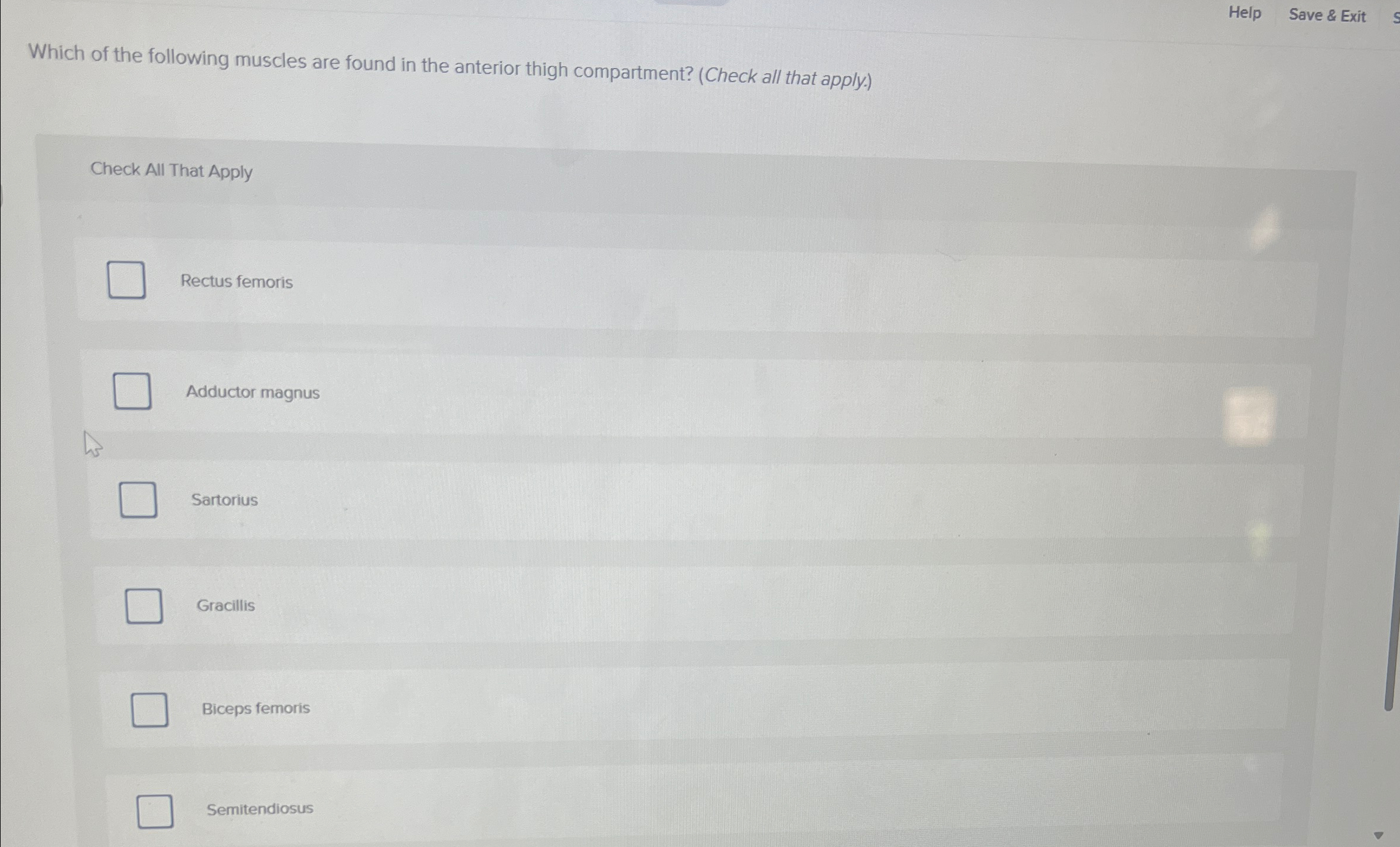 Solved HelpSave & ExitWhich of the following muscles are | Chegg.com