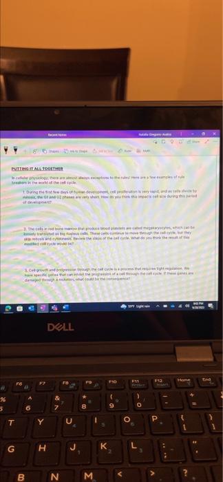 Solved % 5 T 7 G PUTTING IT ALL TOGETHER +5 H F6 In cellular | Chegg.com