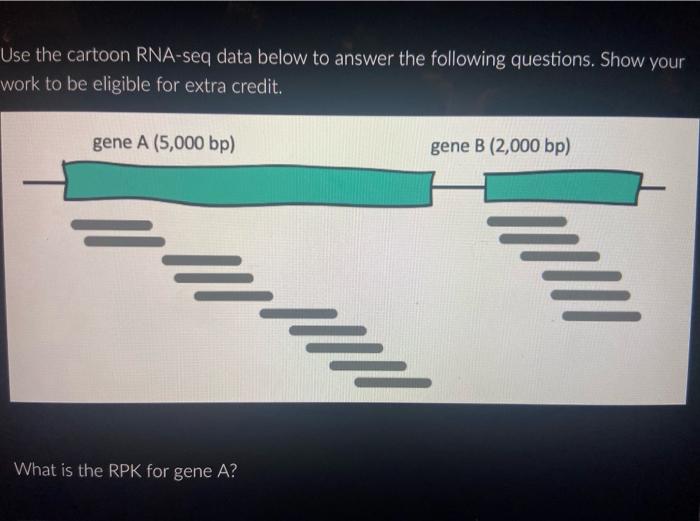Solved Use the cartoon RNA-seq data below to answer the | Chegg.com
