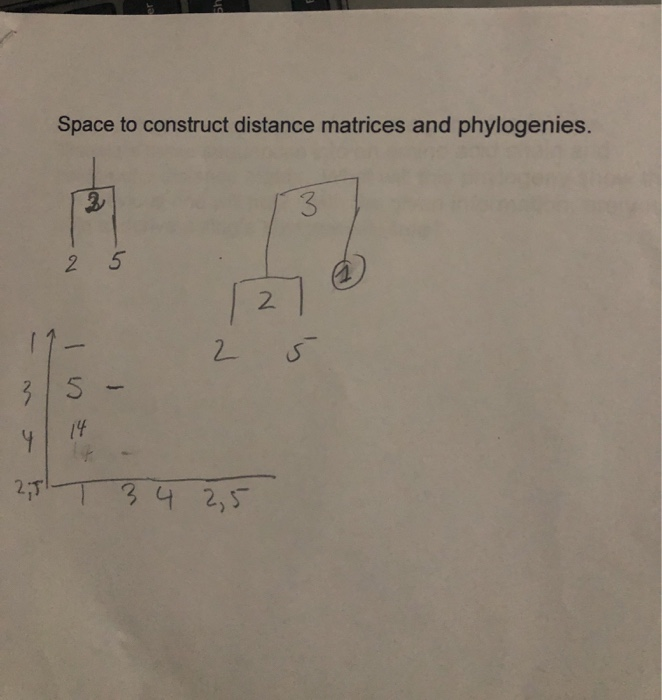 Solved Phylogenetics exercise - UPGMA tree building - V2 | Chegg.com
