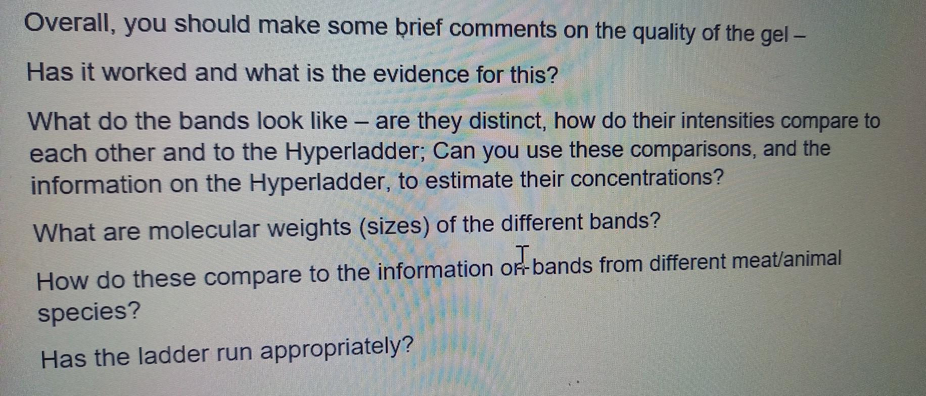 Solved hyperladder 1 kb DNA sample 1 DNA sample 2 10037 8000 | Chegg.com