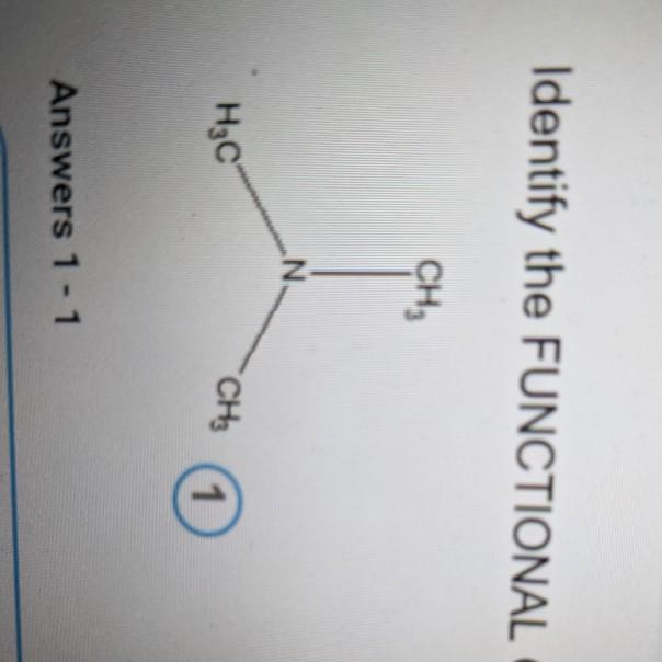 Solved Identify the FUNCTIONAL CHE N H3C CH3 (1 Answers 1 - | Chegg.com