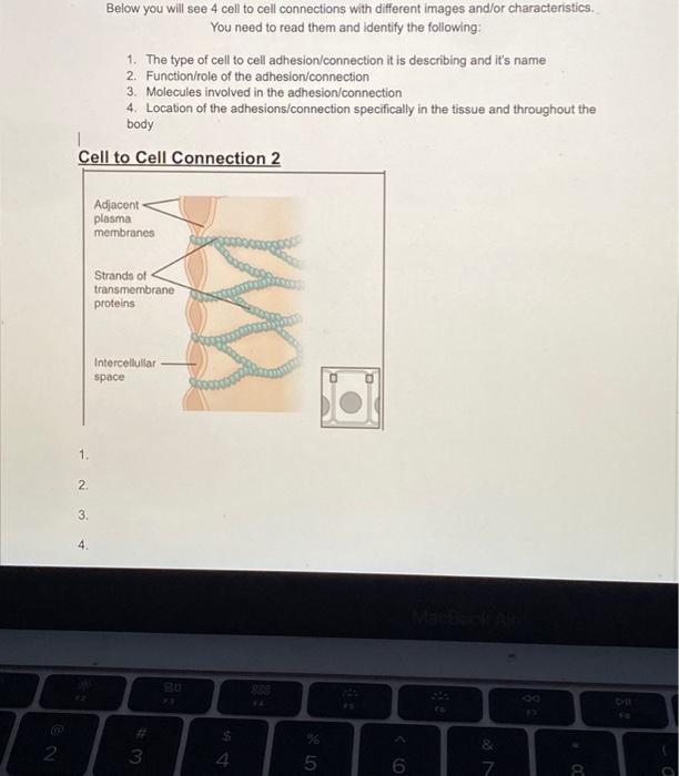 Solved Below you will see 4 cell to cell connections with | Chegg.com