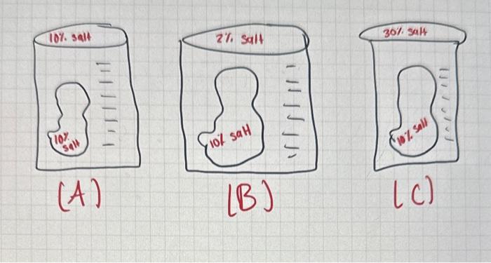 Solved The image below shows a cell in each beaker with a | Chegg.com