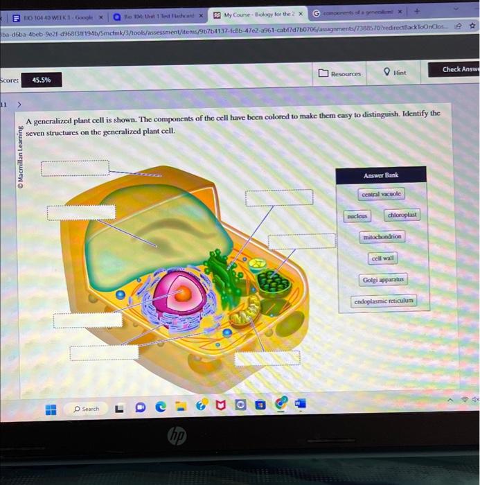 Solved A generalized plant cell is shown. The components of | Chegg.com