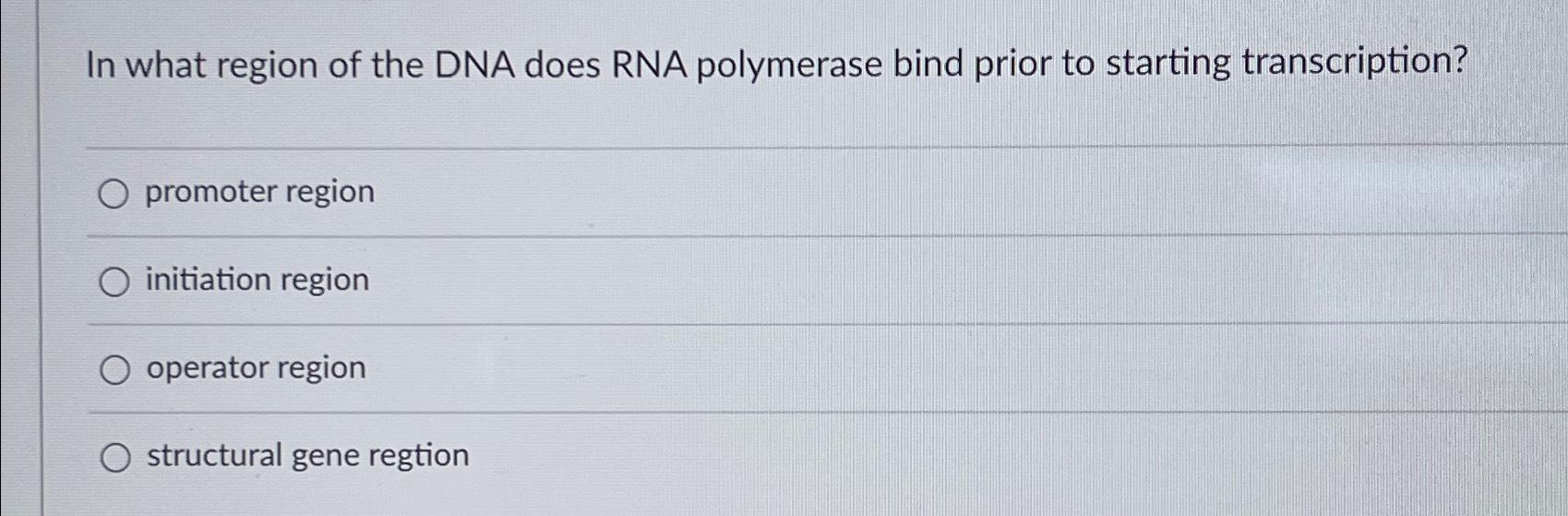 Solved In what region of the DNA does RNA polymerase bind | Chegg.com