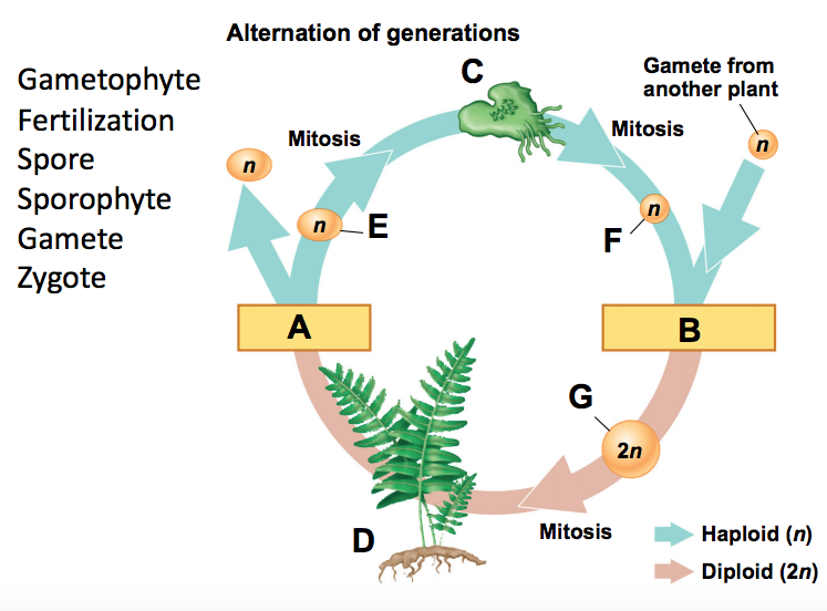 Solved Answer the following questions and upload your | Chegg.com
