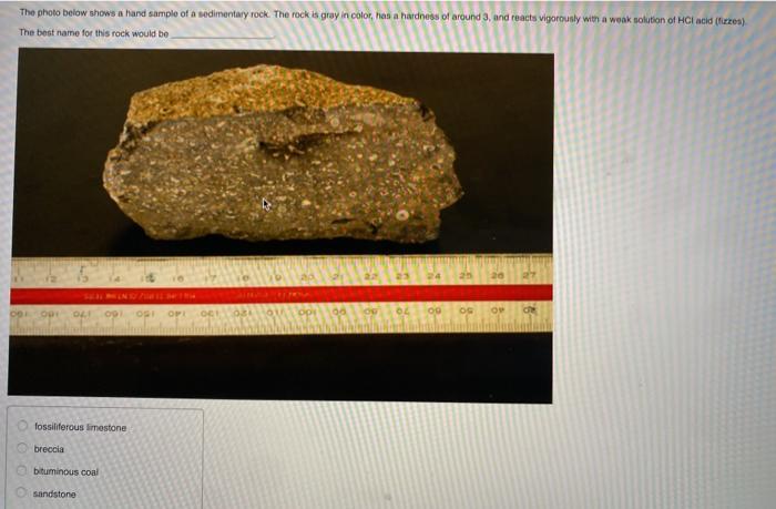 Solved The photo below shows a hand sample of a sedimentary | Chegg.com