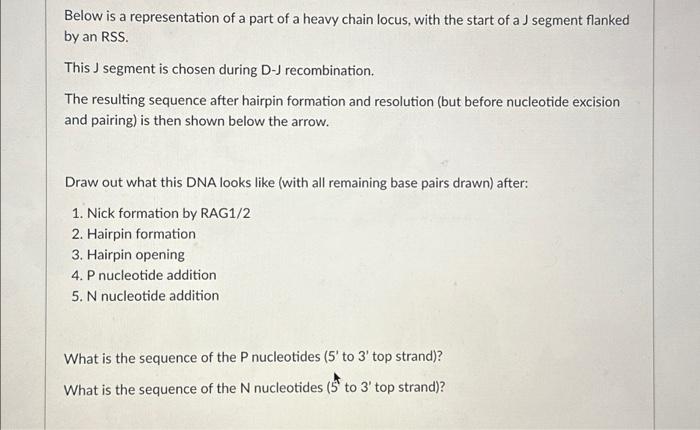 Solved MUST ANSWER IN FORM OF A DRAWINGBelow is a | Chegg.com