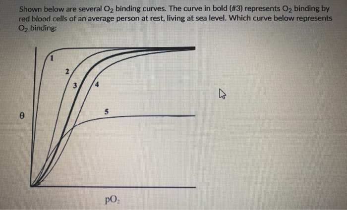 Solved Shown below are several O2 binding curves. The curve | Chegg.com