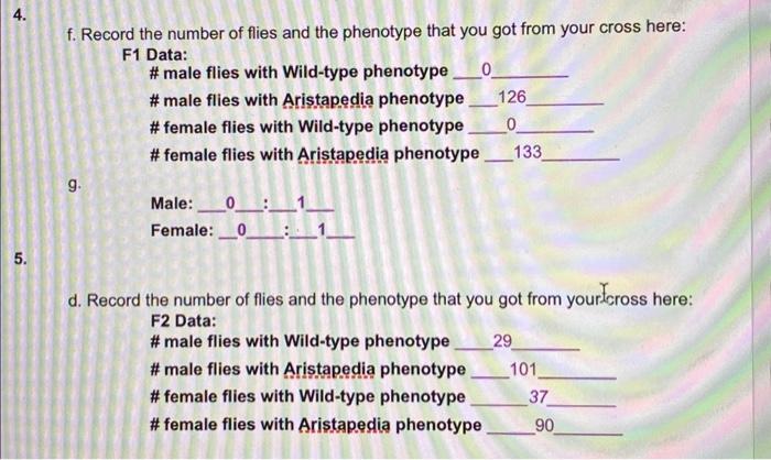 Solved f. Record the number of flies and the phenotype that | Chegg.com