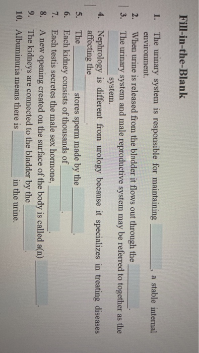 Solved Fill-in-the-Blank The urinary system is responsible | Chegg.com