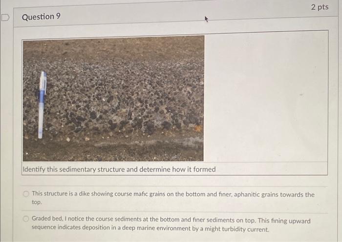 Solved Question 9 Identify this sedimentary structure and | Chegg.com