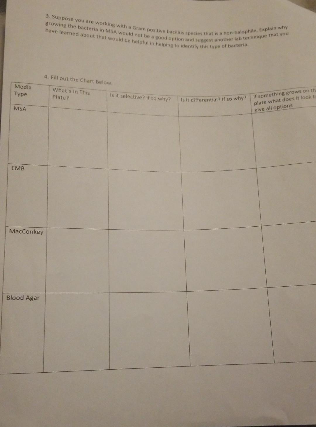 Name: Selective Media Activity Sheet and you want to | Chegg.com