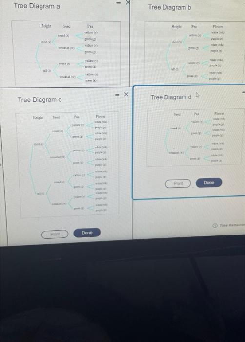 Solved clantabin (Trie a while eymber) 1. namb wop | Chegg.com