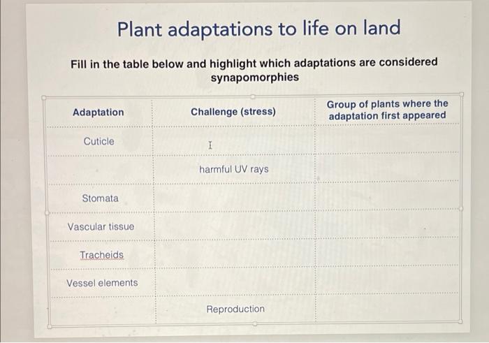 Solved Plant adaptations to life on land Fill in the table | Chegg.com