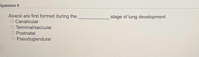 Solved Alveoli are first formed during the stage of lung | Chegg.com