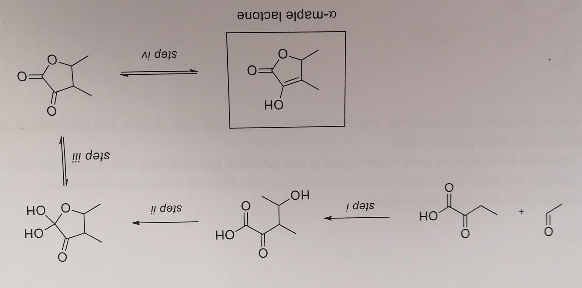 Solved Show the mechanism of the formationof alpha-maple | Chegg.com