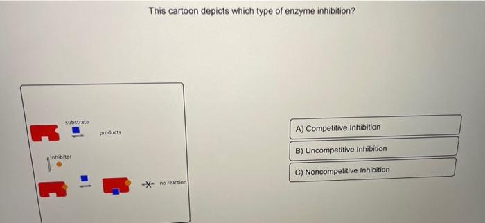 Solved This cartoon depicts which type of enzyme inhibition? | Chegg.com