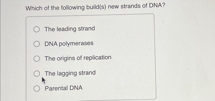 Solved Which of the following build(s) new strands of DNA? O | Chegg.com