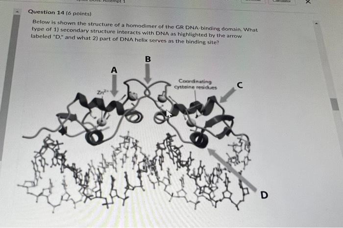 Solved Question 14 ( 6 points) Below is shown the structure | Chegg.com