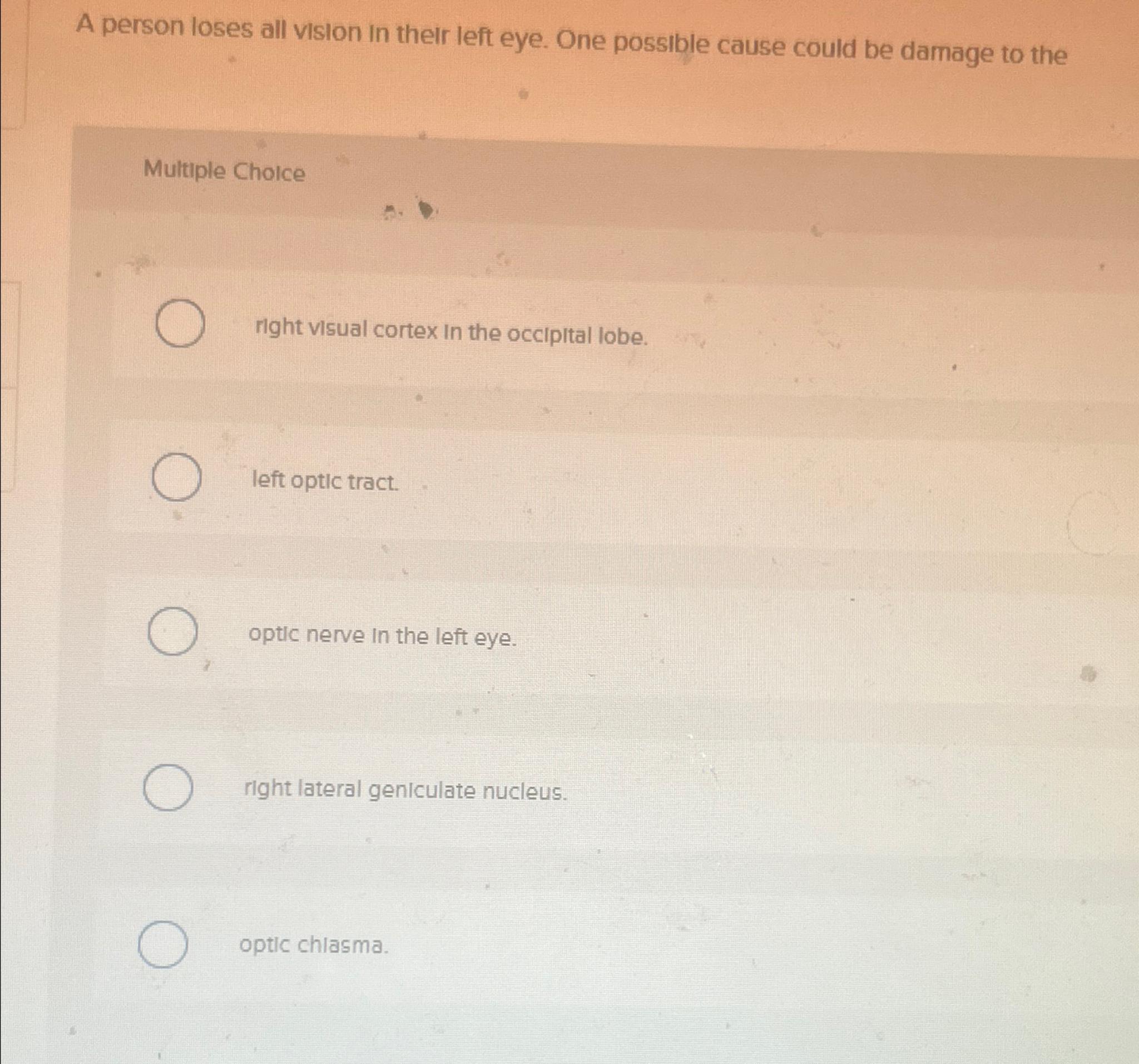 Solved A person loses all vision in their left eye. One | Chegg.com