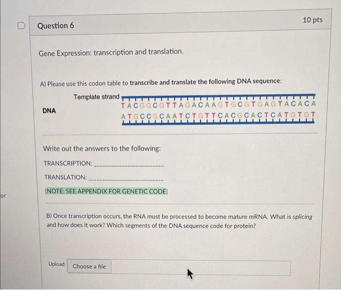 Solved 10 pts D Question 6 Gene Expression: transcription | Chegg.com