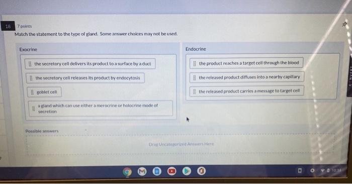 Solved 18 7 points Match the statement to the type of gland. | Chegg.com