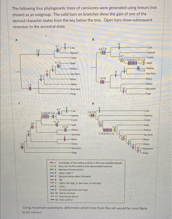 Solved The following four phylogenetic trees of carnivores | Chegg.com