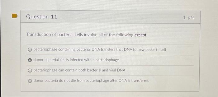 Solved transduction of bacterial cells involve all of the | Chegg.com