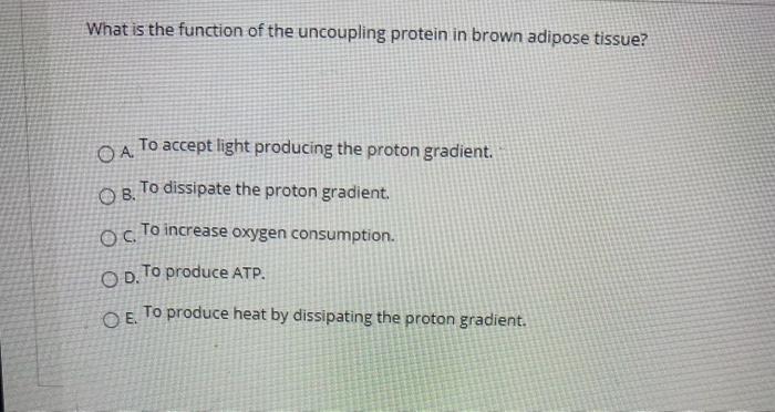 Solved What is the function of the uncoupling protein in | Chegg.com