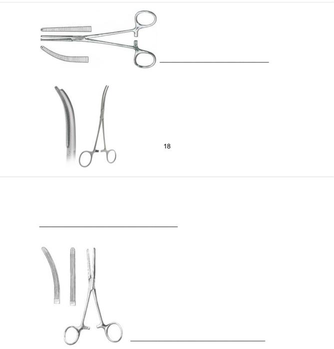 Solved During the surgery, the surgeon elects to clampthe | Chegg.com