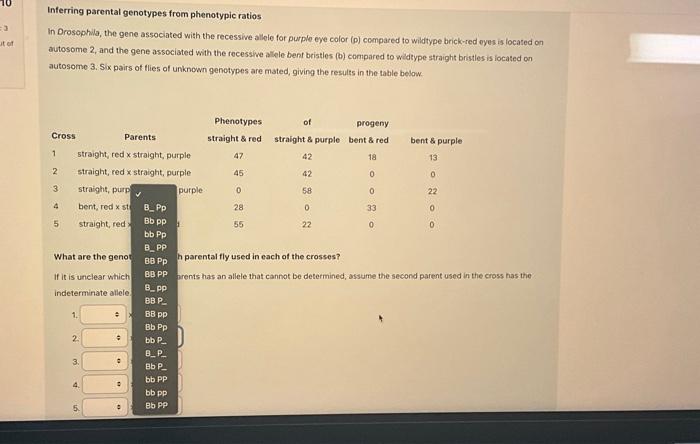 Solved Inferring parental genotypes from phenotypic ratios | Chegg.com