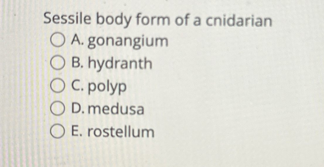 Solved Sessile body form of a cnidarianA. ﻿gonangiumB. | Chegg.com