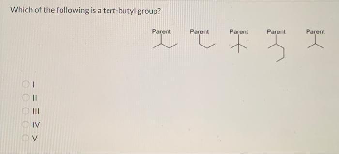 Solved Which of the following is a tert-butyl group? Parent | Chegg.com