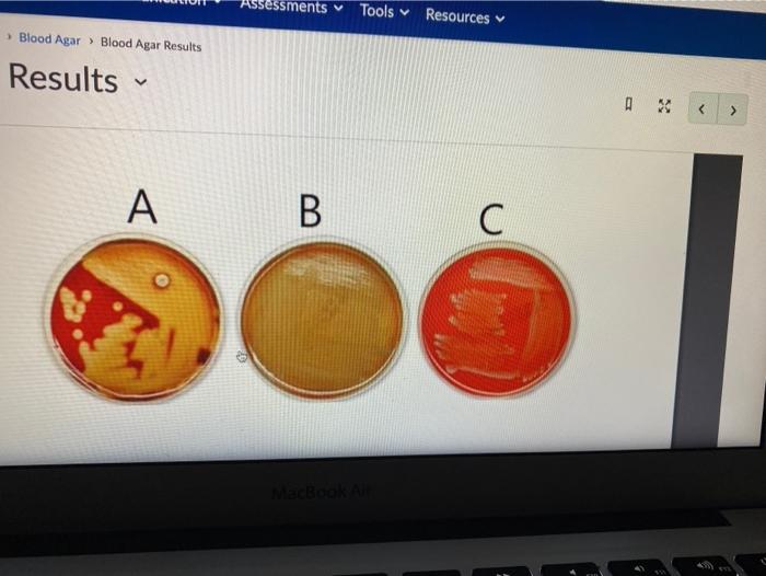 Solved Name Date Lab Section DATA SHEET I was present and | Chegg.com